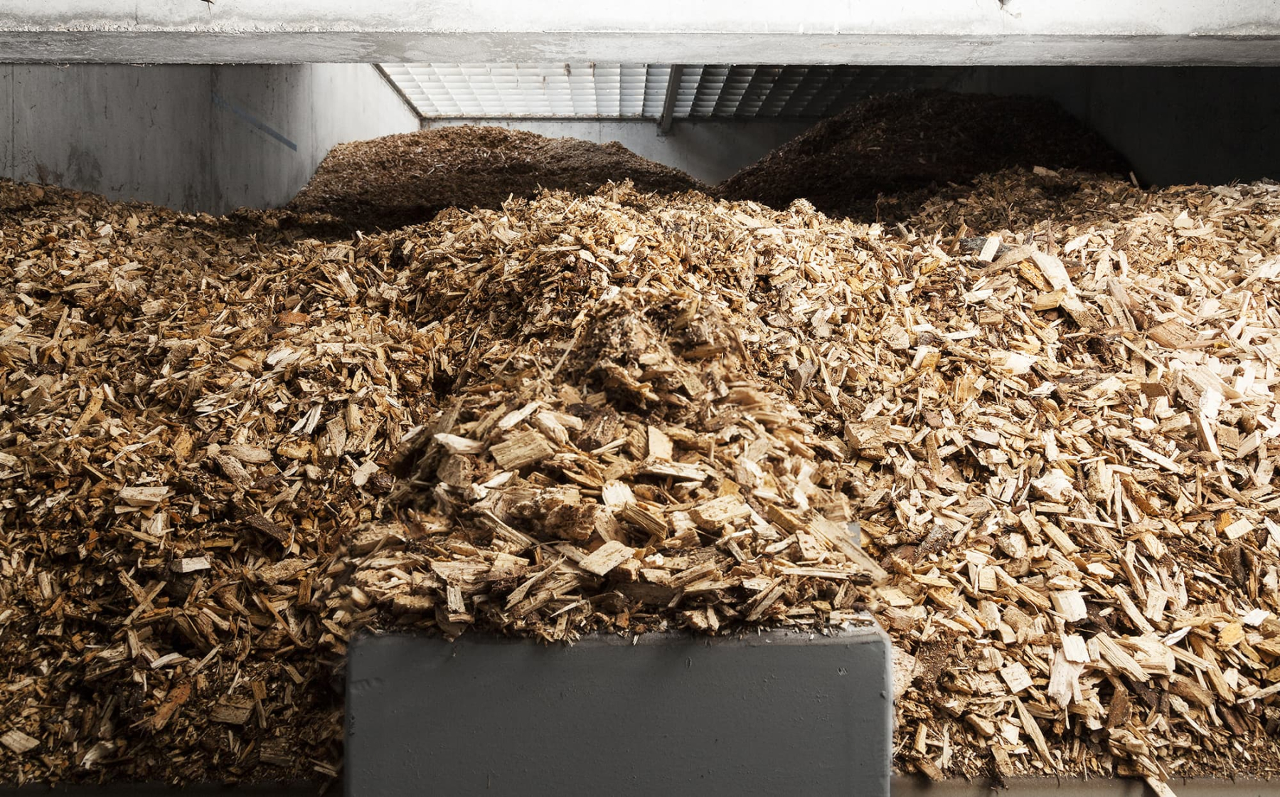 Biomasse : gestion & valorisation de cette énergie renouvelable | Idex